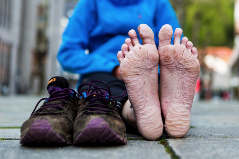 16th Annual Seven Hills WalkThe Nordic Council of Greater Seattle ...